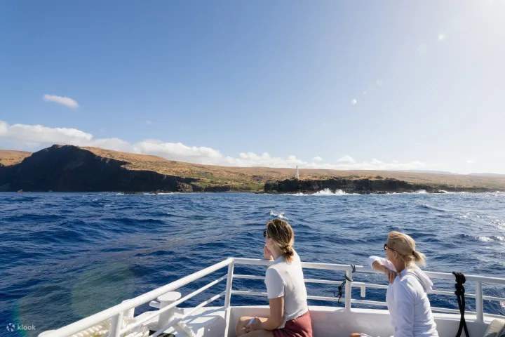 Whale Watching Cruise Experience from Maalaea Harbor by Quicksilver - Klook India