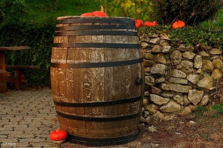 Bratislava 3-Hour Wine Tasting - Klook