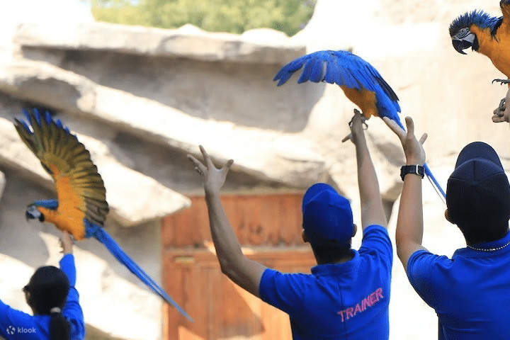 Emirates Park Zoo in Abu Dhabi - Klook India