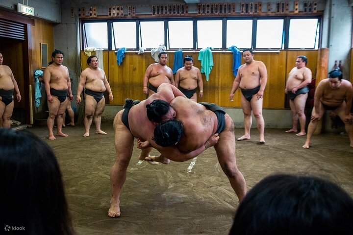 Sumo Morning Practice Viewing Tour (Tokyo) - Klook United Kingdom