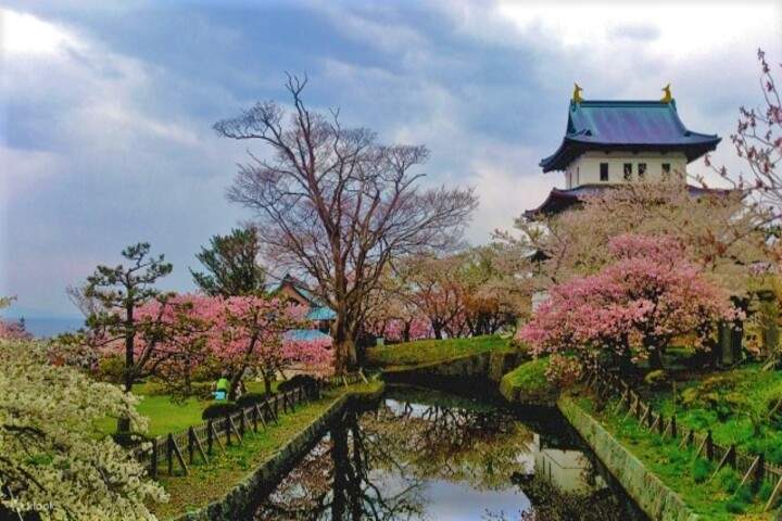 Goryokaku Park and Matsumae Park Join In One Day Bus Tour with Sakura ...