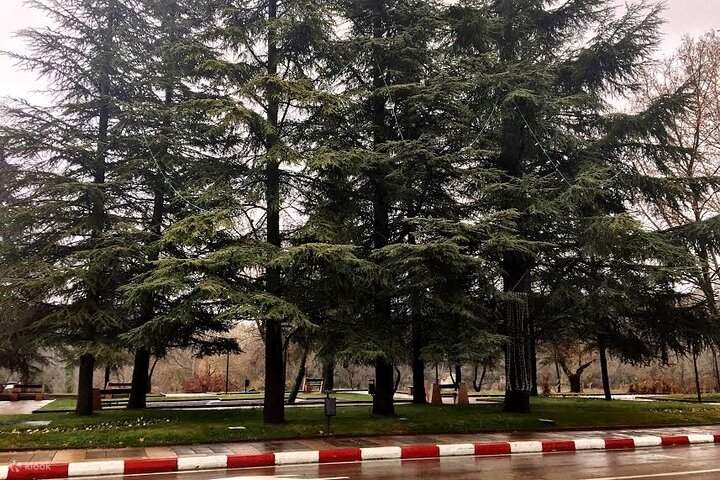 Discover the Charm of Middle Atlas Towns: Private Day Trip from Meknes ...