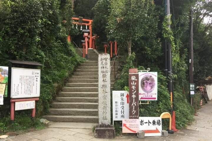 Tour privado de un día por la ciudad de Kioto, el parque de monos de Iwatayama y Arashiyama ...