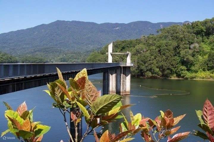 Rainforest and Waterfalls 4WD Adventure - Klook