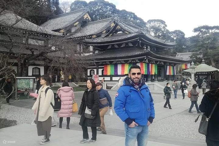 Kamakura 8hr Private Trip (Tokyo departure) with Government-Licensed ...