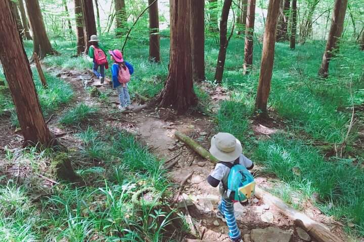 Taisetsu, Higashikawa, and Kitoushi Forest Park Private One Day Walking ...