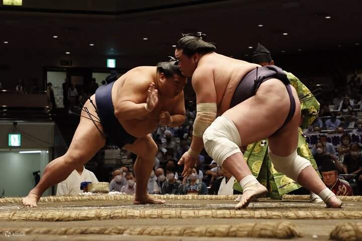 Nagoya Grand Sumo Tournament Viewing Tour with Tickets - Klook United ...