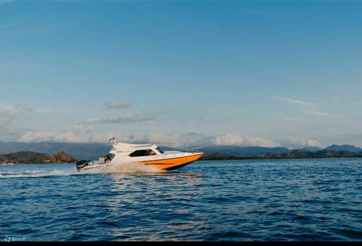 Half Day Speedboat Tour from Labuan Bajo - Klook