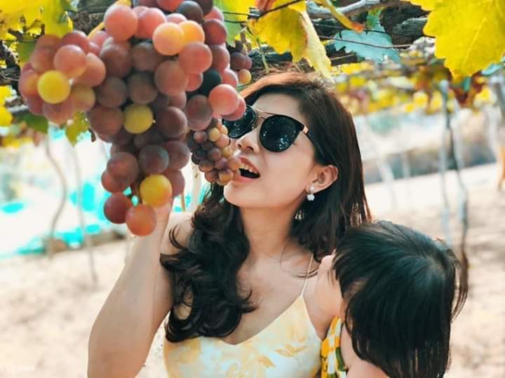 Sheep Farm, Vinh Hy, Rai Cave, and Vineyard Day Tour from Nha Trang ...