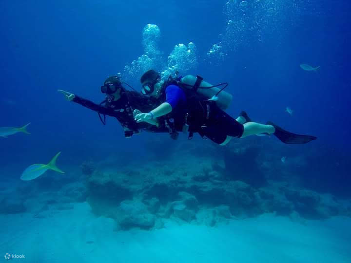 PADI Advanced Open Water Diver in Yucatan Peninsula with PADI Resort ...