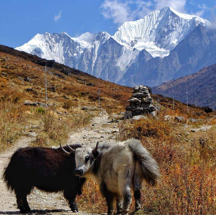 야라 피크 탐험 네팔 - 클룩 Klook 한국