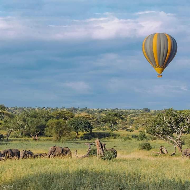4 Days Masai Mara & Lake Nakuru Tour - Klook United States