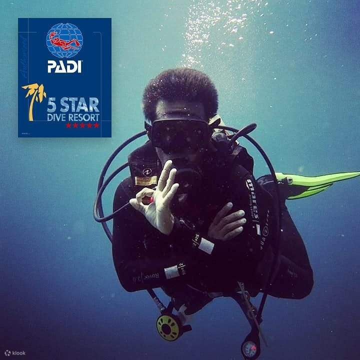 Open Water Diver (E Learning) in Palawan | PADI 5 Star Dive Resort ...