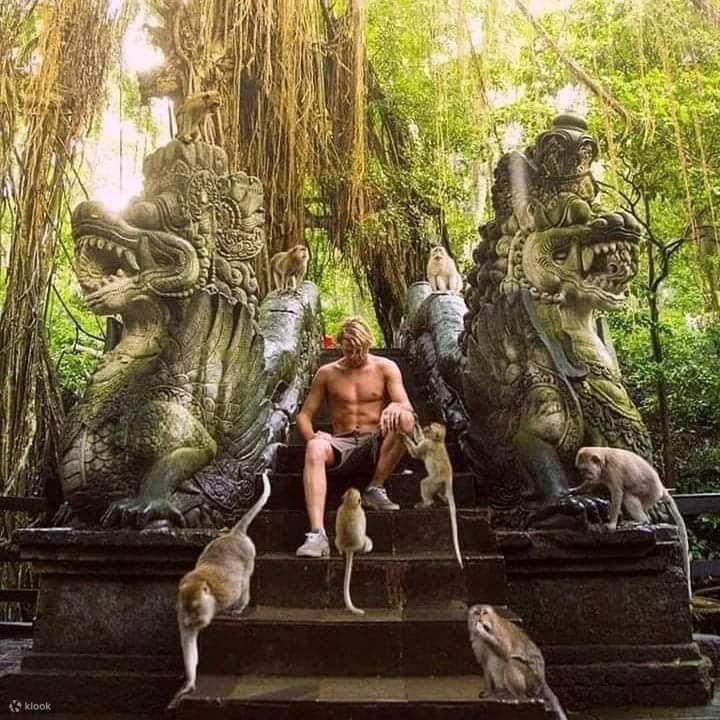 Batubulan Kecak and Fire Dance with Ubud Private Tour - Klook