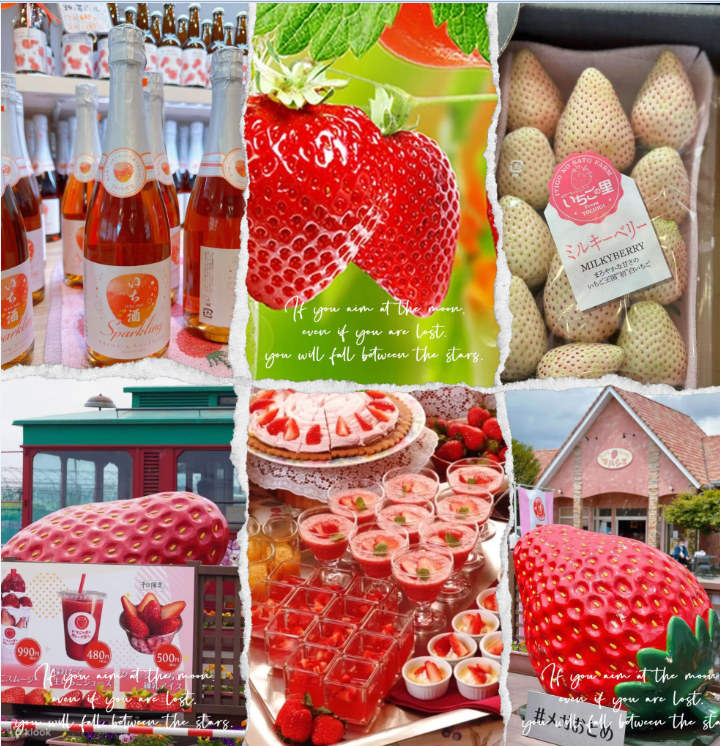 Tochigi Wisteria Festival, Ashikaga Orihime Shrine Seven-Colored Torii ...