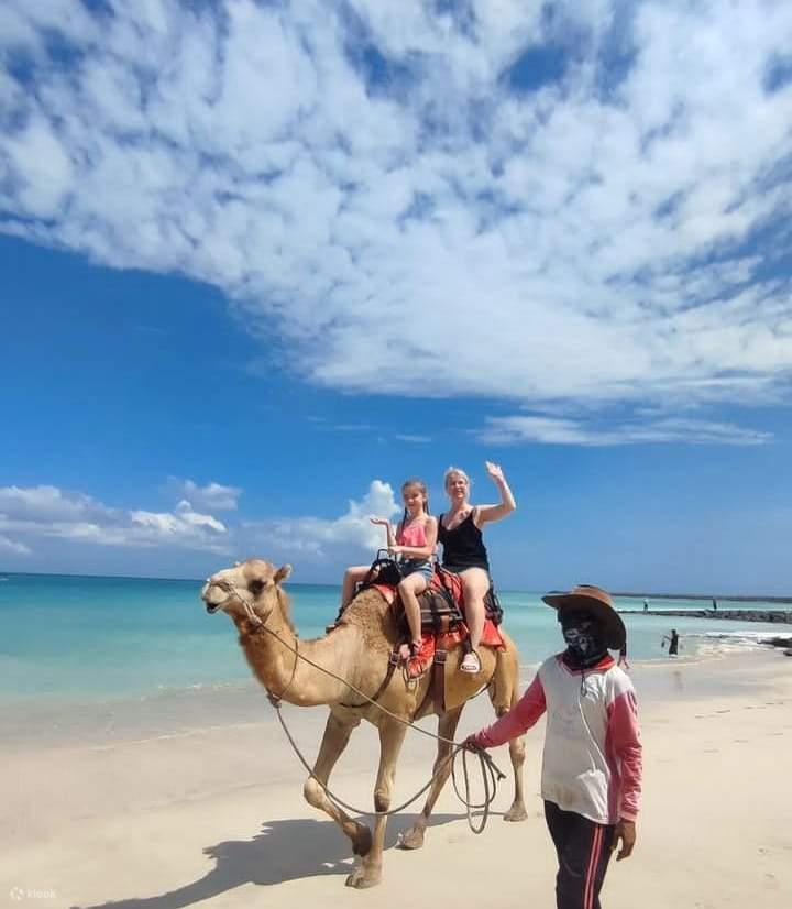 Camel Ride Experience in Bali - Klook Philippines