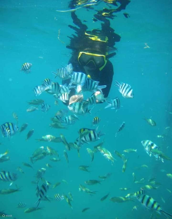 民丹岛计程车浮潜之旅 Klook客路