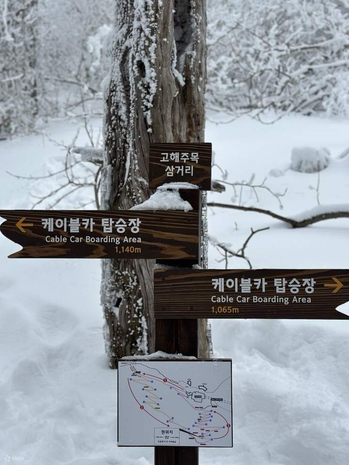 Yongpyong One Day Ski Tour from Seoul - Klook