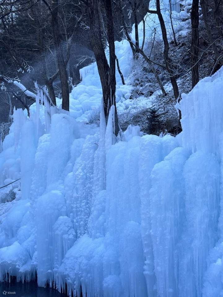 Eobi Ice Valley & Konjiam Luxury Ski Resort Day Tour from Seoul - Klook