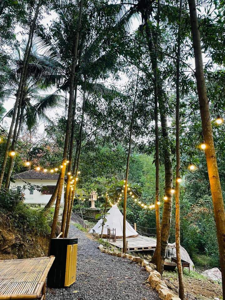 Glamping Experience in Kong Forest Adventure Park - Klook