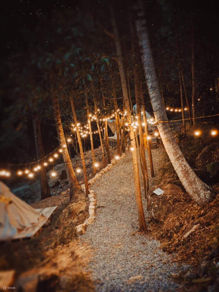 Glamping Experience in Kong Forest Adventure Park - Klook