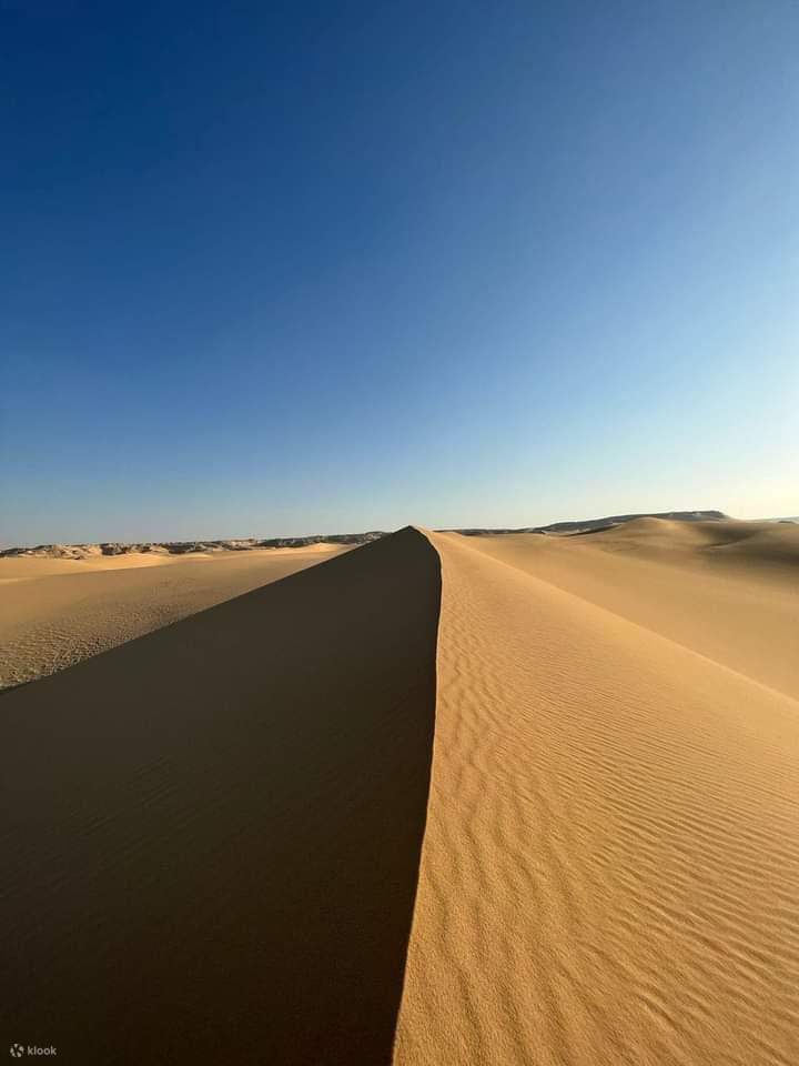 Overnight Trip to White and Black Desert from Cairo - 2days, 1 night ...