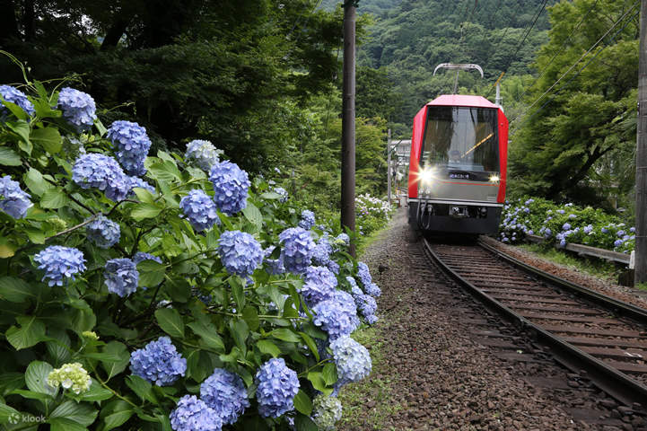 Hakone Hydrangea Train, Pirate Ship & Lunch at Hotel de Yama - Klook ...