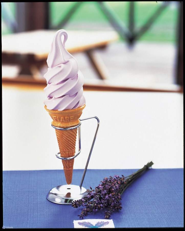 Taman Lavender Gunma, Petik Persik & Tur Outlet Sano dari Tokyo - Klook ...