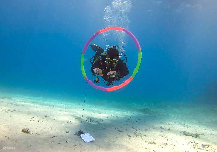 Dive into Discovery: PADI Discover Scuba Diving in Padang Bai, Bali ...