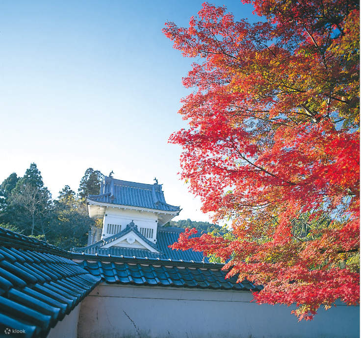 Sendai Famous Spots for the Beginner 1-Day Tour - Klook