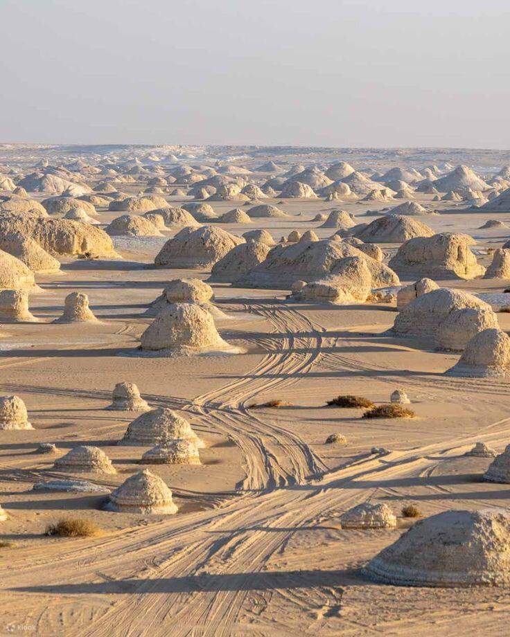 Overnight Trip to White and Black Desert from Cairo - 2days, 1 night ...