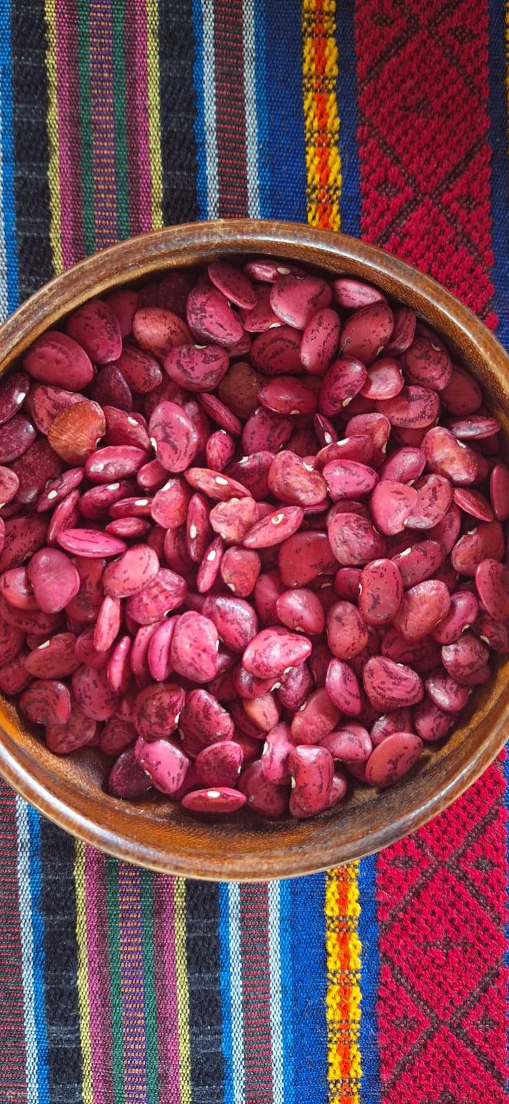 Experience Traditional Mayan Food and Calligraphy with a Mayan Family ...