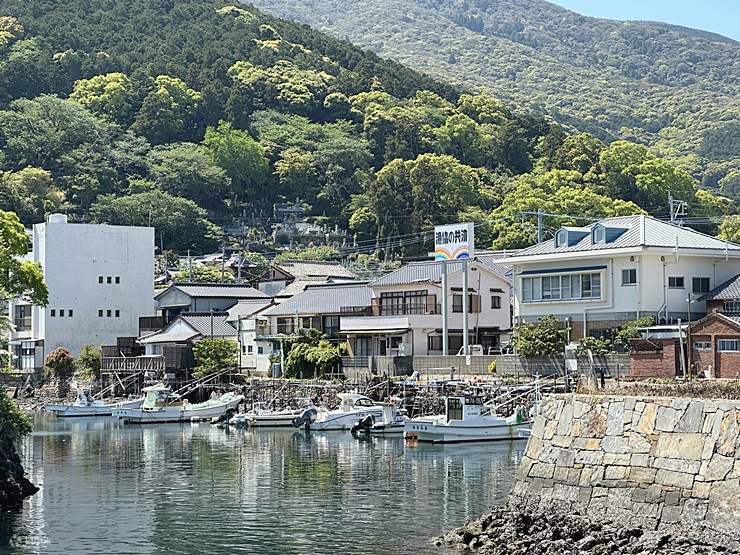 Tsushima island (Japan) One-Day Ferry Tour from Busan by PANSTAR - Klook