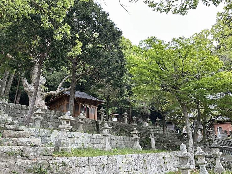 Tsushima island (Japan) One-Day Ferry Tour from Busan by PANSTAR - Klook