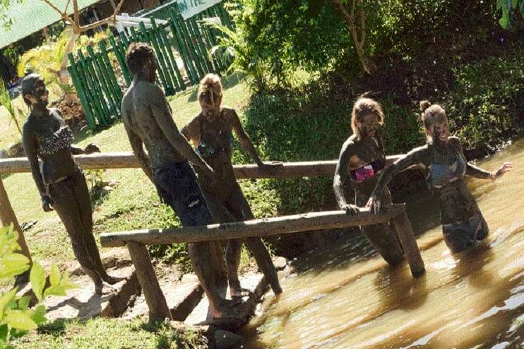 Nadi Therapeutic Mud Pools and Garden Tour in Fiji - Klook