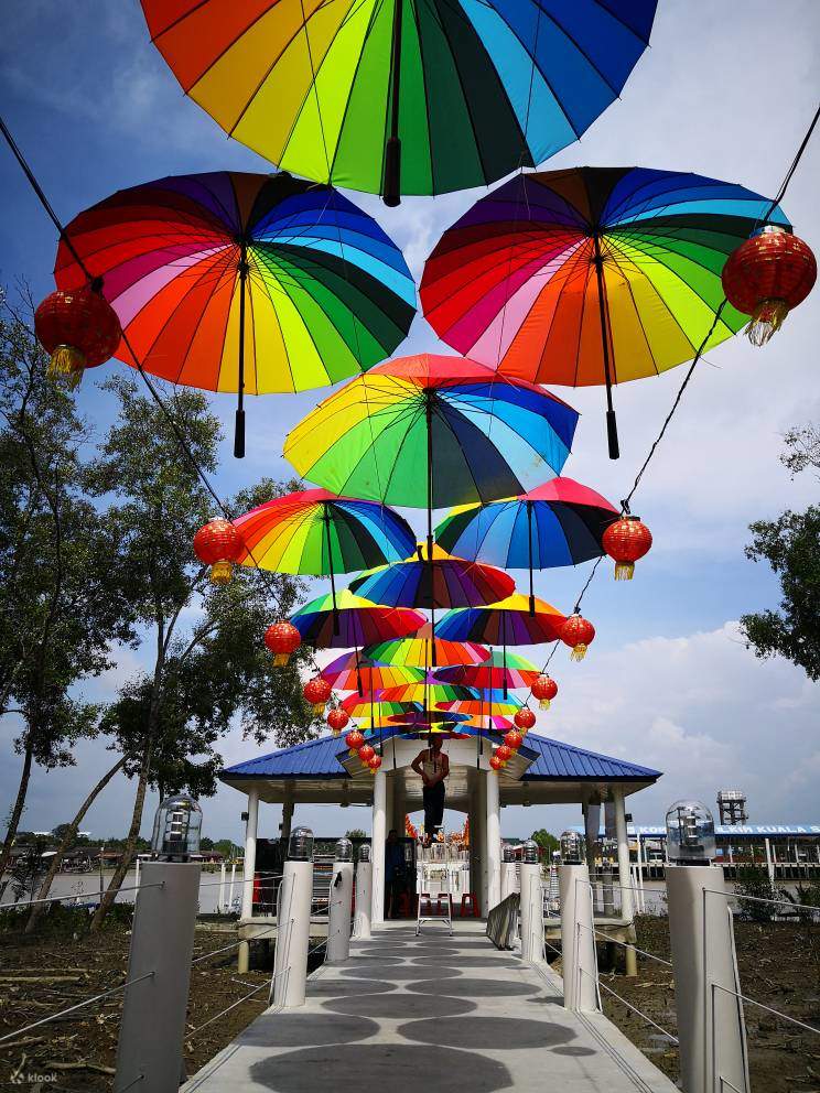 Firefly, Eagle Feeding and Blue Tears Nature Tour in Kuala Selangor - Klook