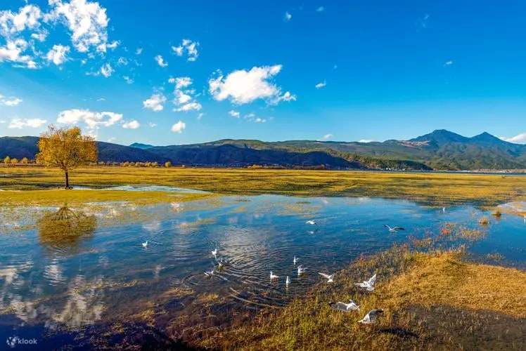 Lijiang Private Guided 1 Day Tour Jinsha River Tiger Leaping Gorge ...