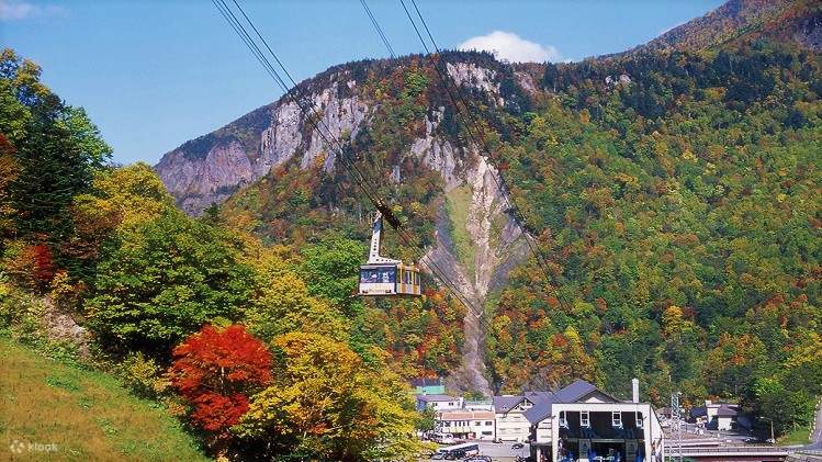 Kurodake Ropeway & Asahiyama Zoo & Blue Pond Autumn One Day Bus Tour ...