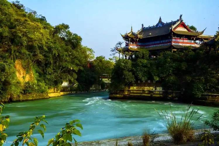 Chengdu Giant Panda Base Dujiangyan Private Day Tour - Klook New Zealand