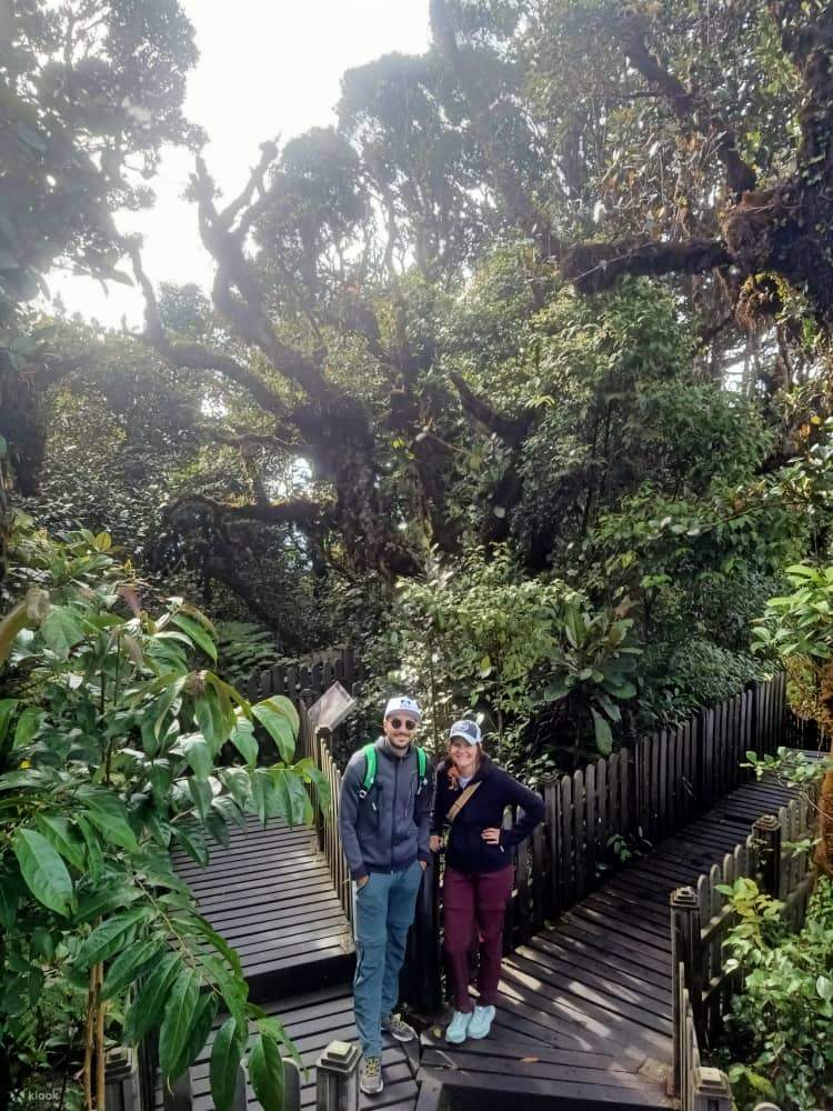 Cameron Highlands Mossy Forest Half Day Tour - Klook Philippines