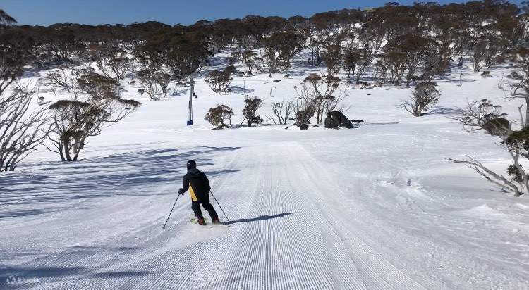 Sneeuwreis naar Perisher Valley vanuit Sydney door Ozia Tours - Klook ...