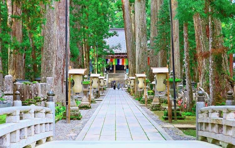 World Heritage Sites Mount Koya One Day Bus Tour from Osaka - Klook