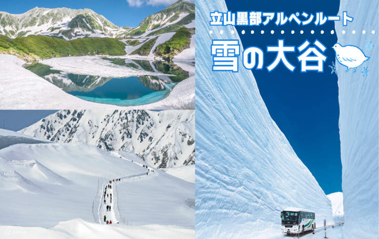 Tateyama Kurobe Alpine Route and Kamikochi Join In Two Day Bus Tour ...