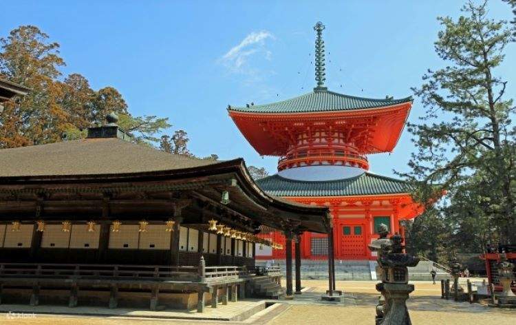 Niutsuhime Shrine and Mount Koya One Day Bus Tour from Nagoya - Klook ...