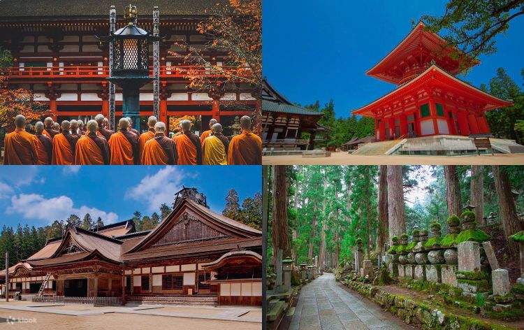 World Heritage Sites Mount Koya One Day Bus Tour from Osaka - Klook India