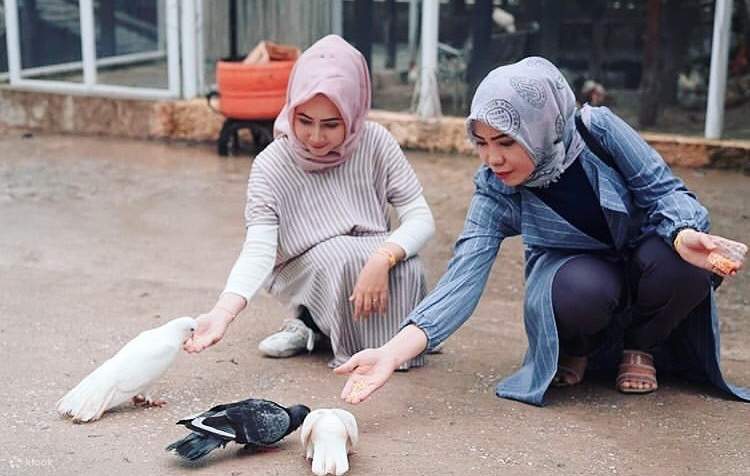 印尼北干巴鲁亚洲农场（Theme Park Asia Farm）主题公园门票 - Klook客路