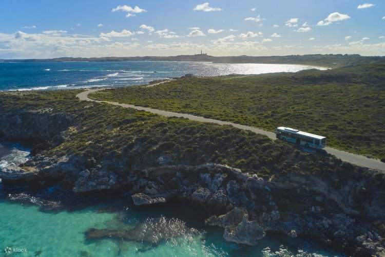 Tour a la isla Rottnest (guía japonés) - Klook Estados Unidos