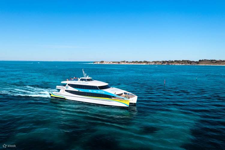 Tour dell'isola di Rottnest (guida giapponese) - Klook Stati Uniti