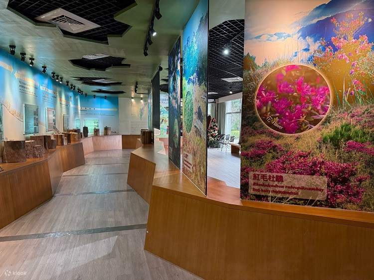 One-day tour to Qixingtan, Chinan, Liyutan, Pacific Park, and Jiangjun ...