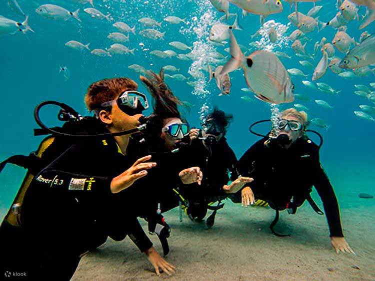 Discover Scuba Diving in Canary Islands with PADI 5 Star IDC - Klook ...